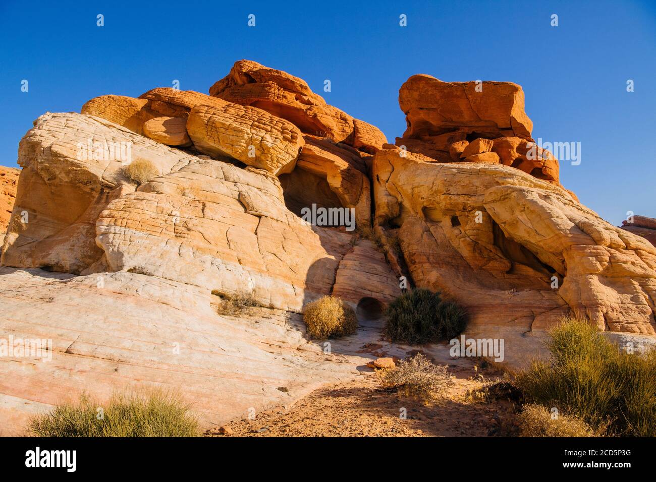 Aztec Sandstone, State Park, Mohave Desert, Overton, Nevada, USA Stock ...