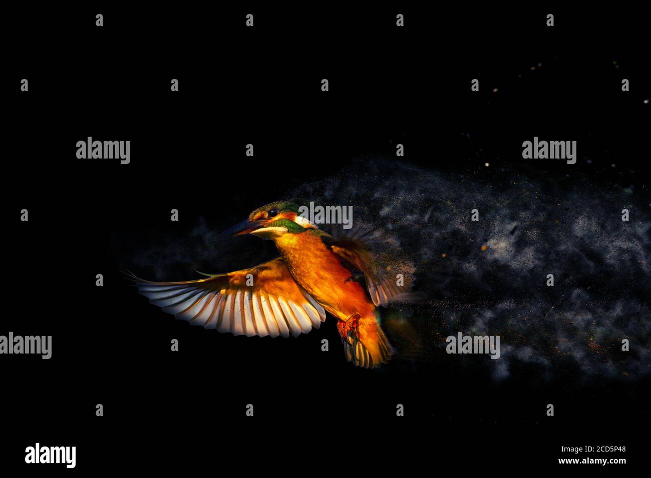 Flying bird. Dispersion, splatter effect. Black background Stock Photo ...