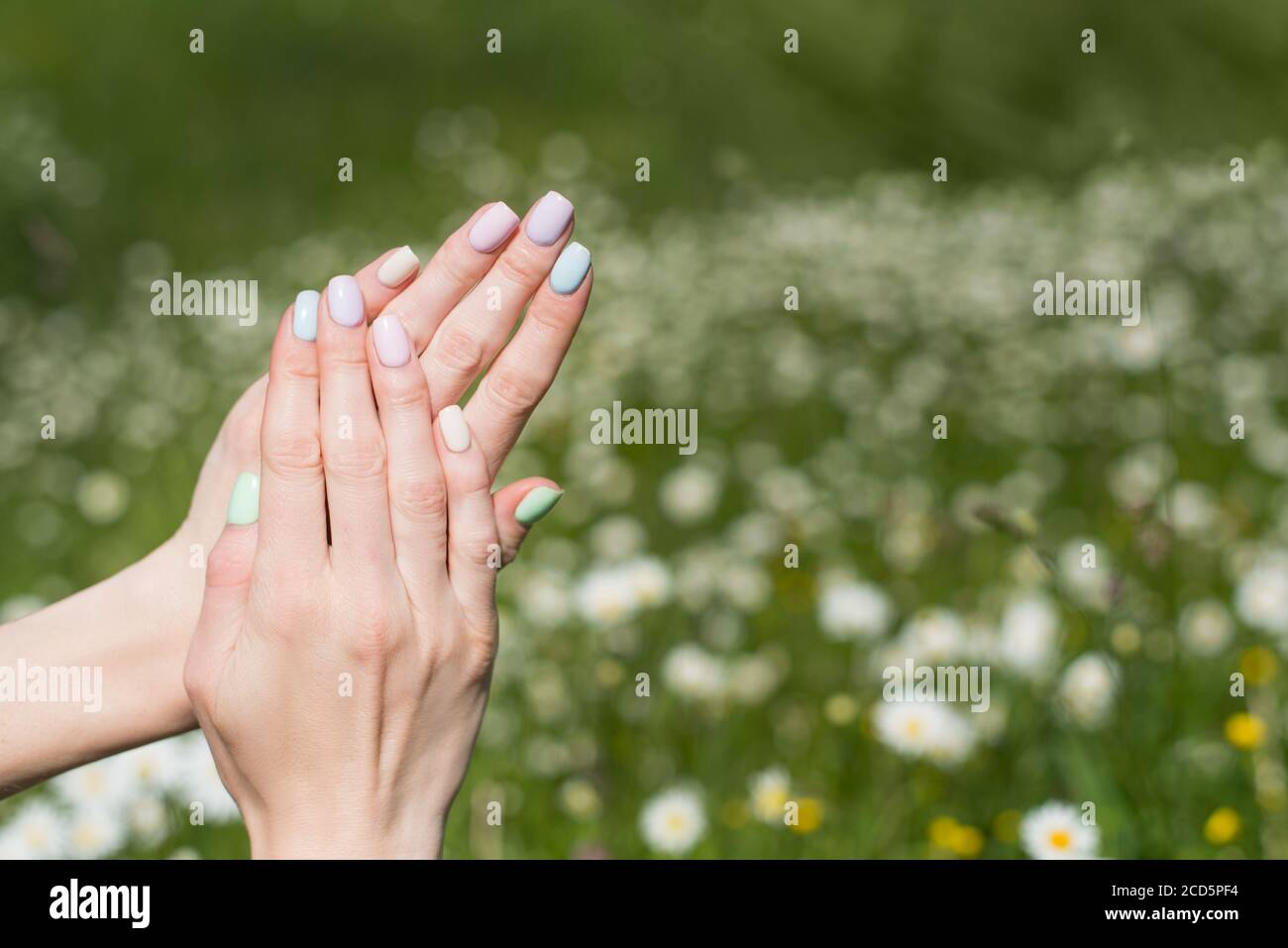 Neat manicure on short nails background field. Gentle summer manicure ...