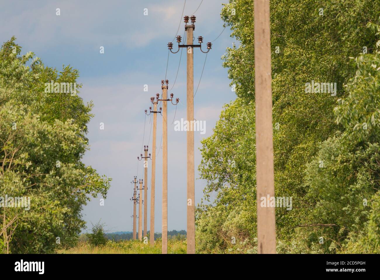Line of electricity poles with wires in the forest Stock Photo - Alamy