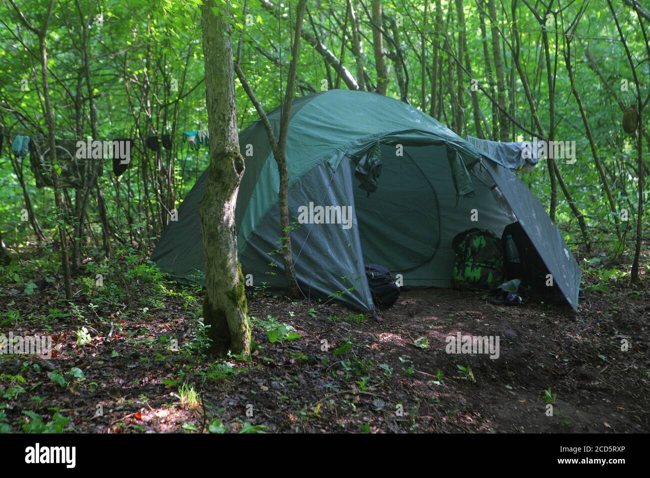 Camping in the forest Stock Photo - Alamy