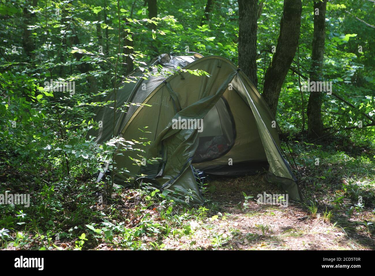 Camping in the forest Stock Photo - Alamy
