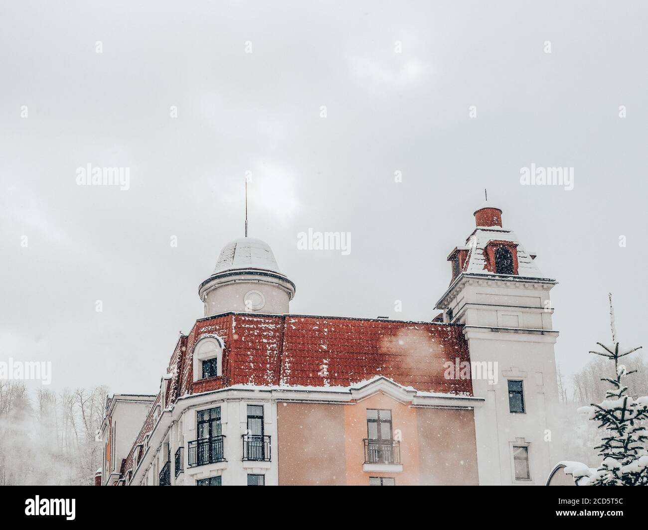 Top of the house with windows and two towers on the roof against the ...