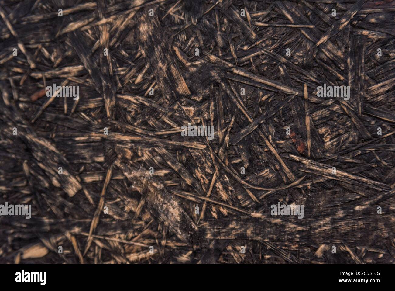 Abstract wooden texture. Chipboard material. OSB boards Stock Photo - Alamy