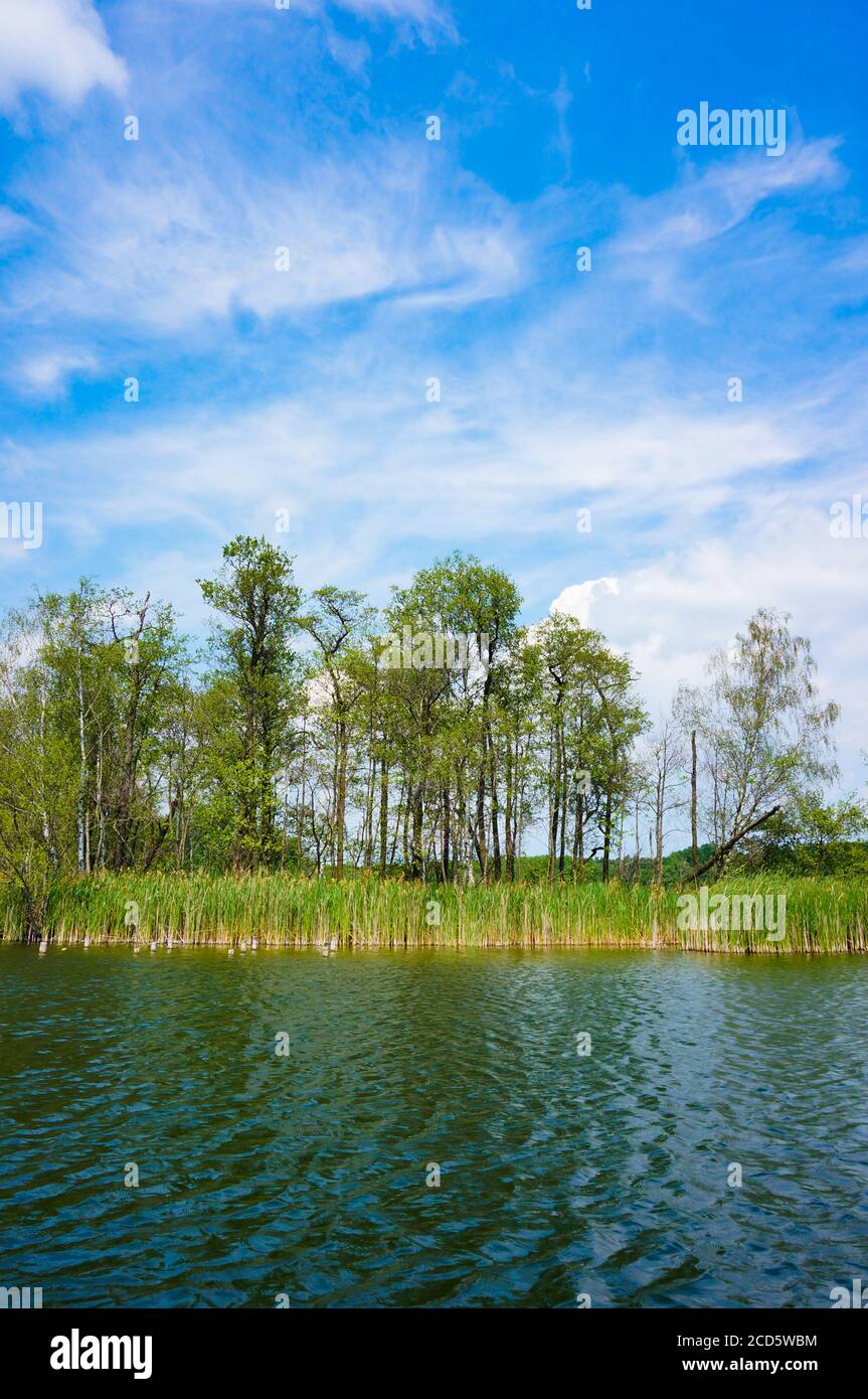 Vertical shot of Rusalka lake, Poznan, Poland Stock Photo - Alamy