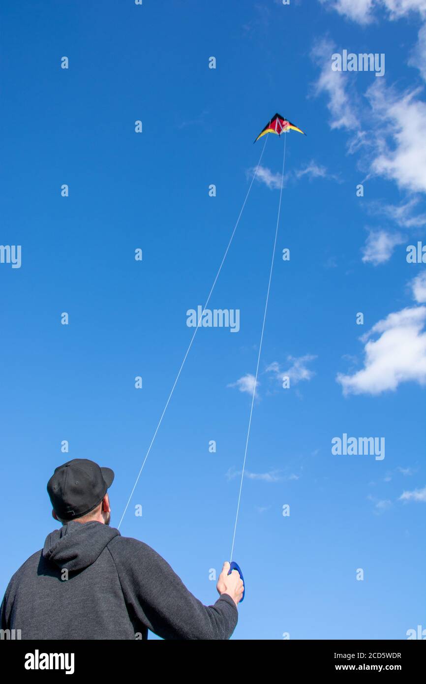 Vertical shot seagull sunset hi-res stock photography and images - Alamy