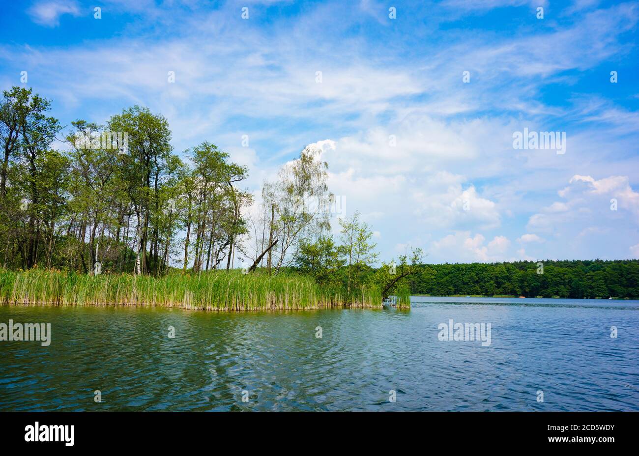 Beautiful shot of Rusalka lake in Poznan, Poland Stock Photo - Alamy