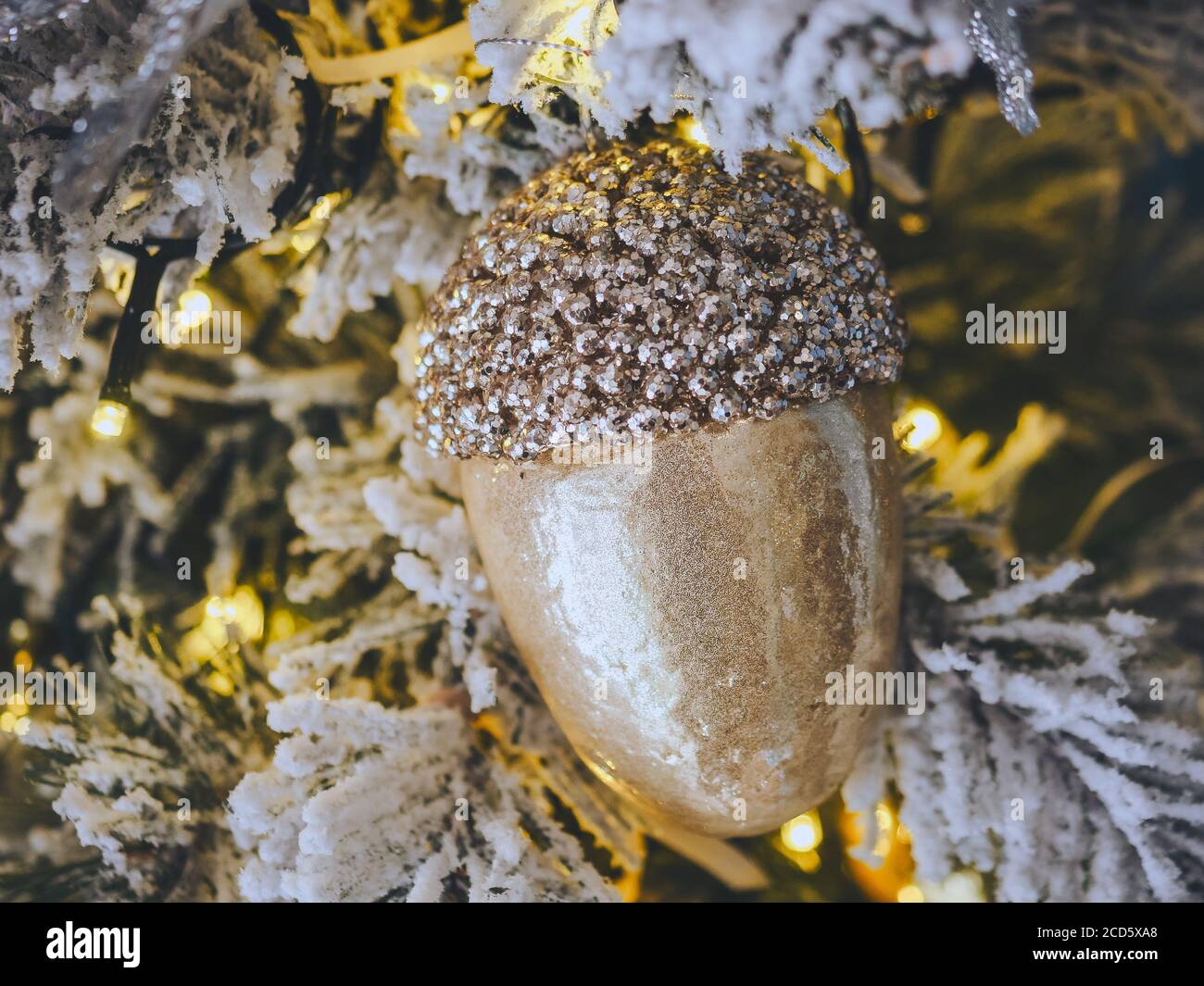 Shiny acorn hi-res stock photography and images - Alamy