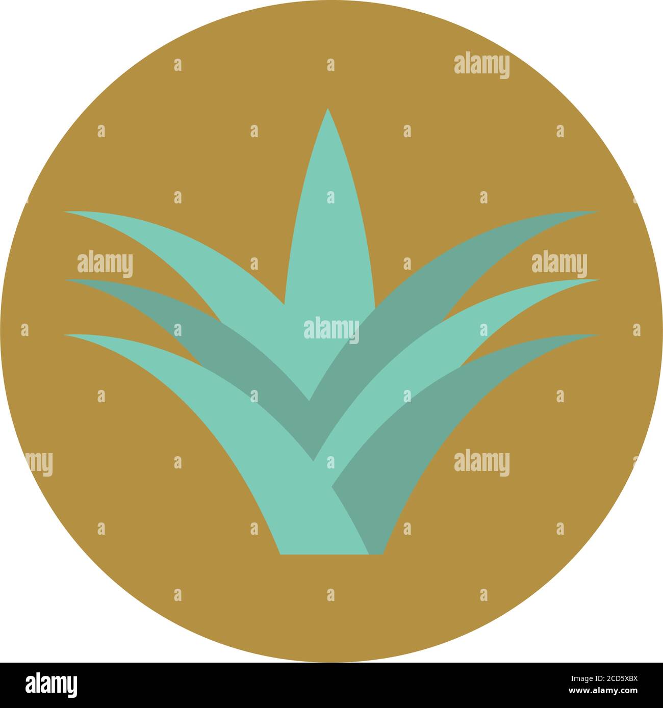 Vera Icon High Resolution Stock Photography and Images - Alamy