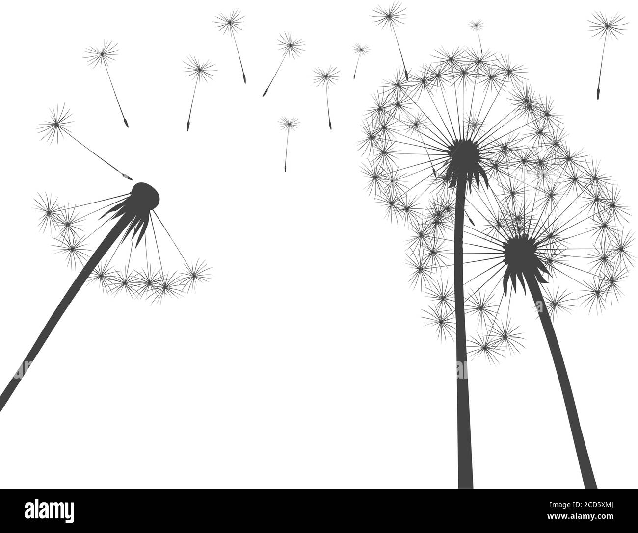 Fragile blossom Stock Vector Images - Alamy