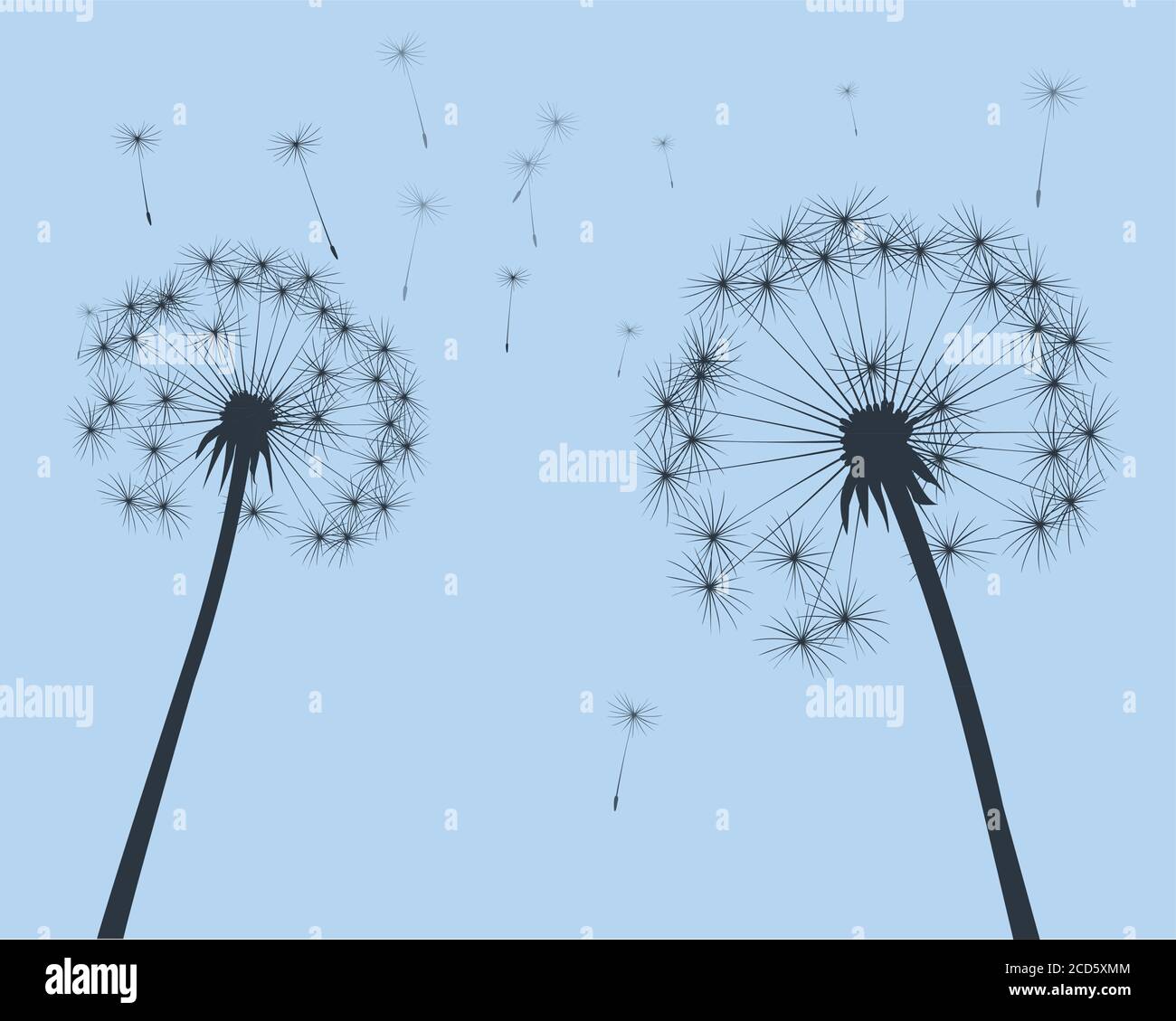 Dandelion vector vectors hi-res stock photography and images - Alamy