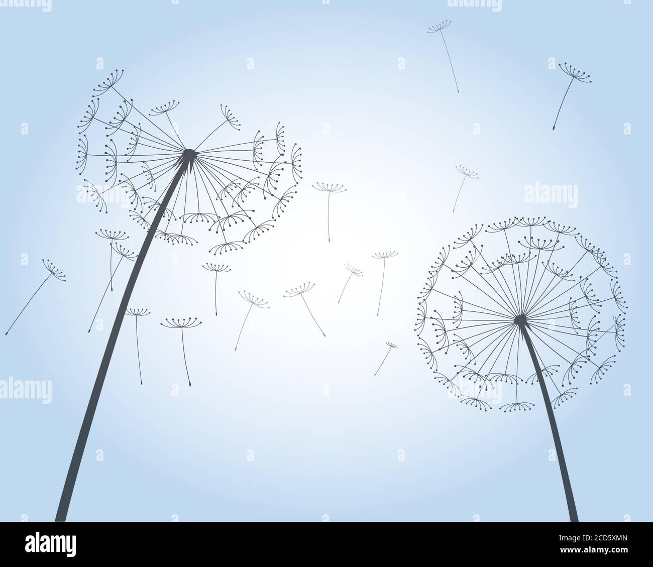 Shape of vector dandelion on blue sky. Outline illustration Stock ...