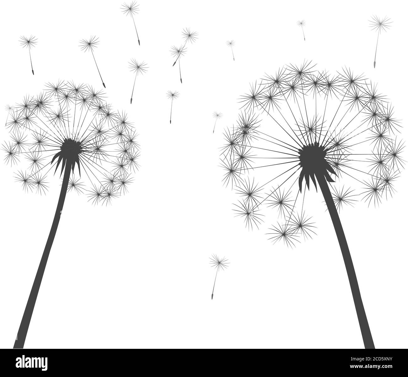 Shape of vector dandelion. Outline illustration Stock Vector Image ...