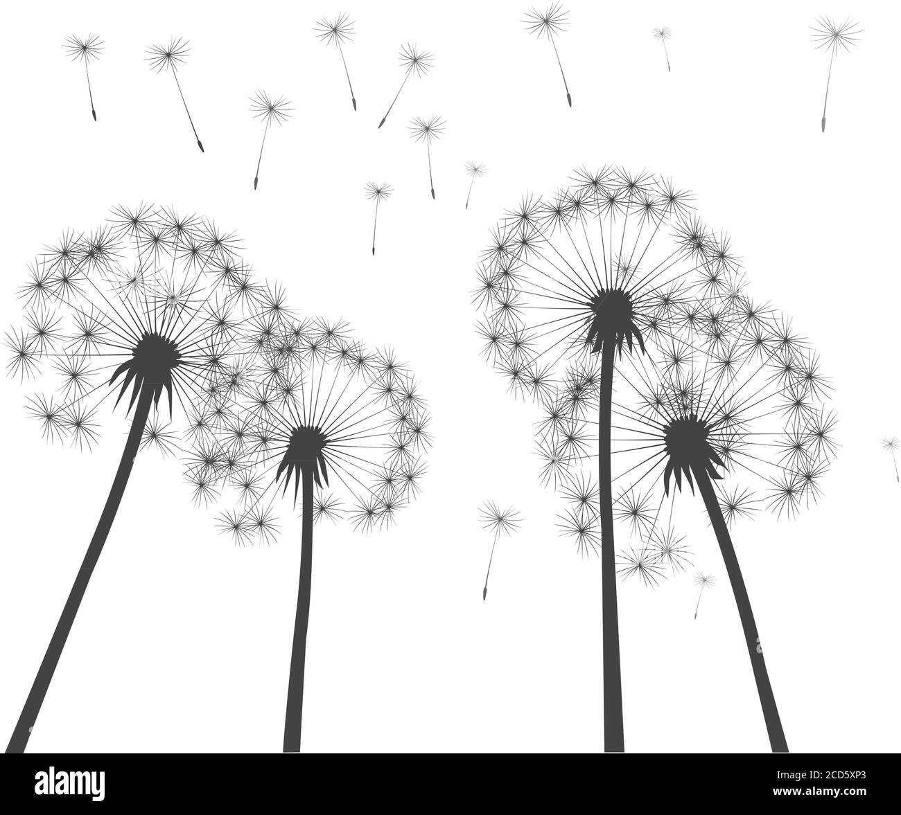 Shape of vector dandelion. Outline illustration Stock Vector Image ...