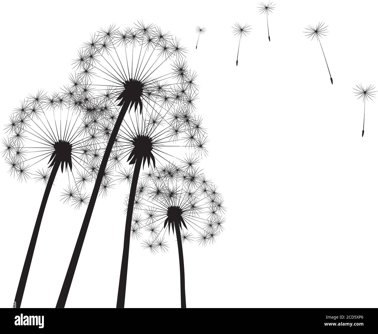 Shape of vector dandelion. Outline illustration Stock Vector Image ...