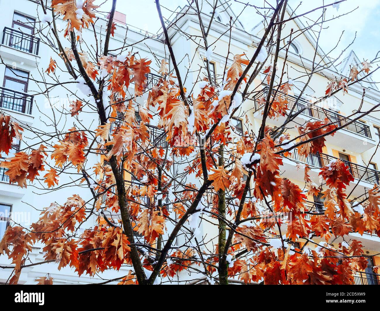 A white-orange building with balconies and a triangular roof peeps ...