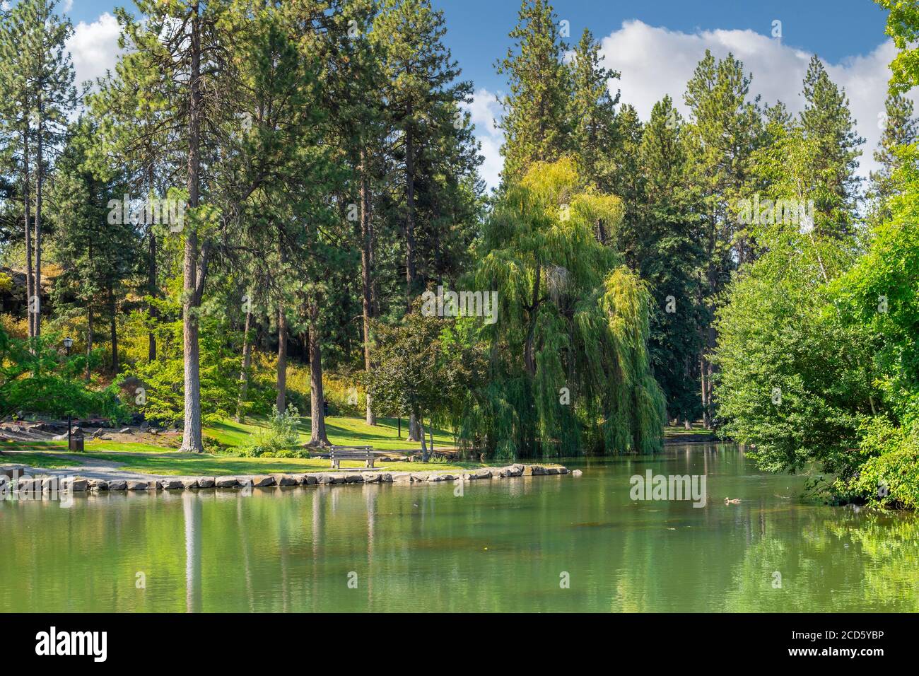 A weeping willow tree sits at the edge of the Manito Park Mirror or ...