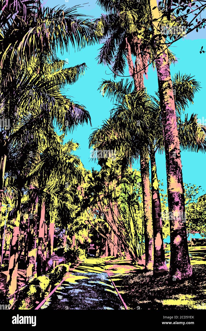 Tall palm trees filter hi-res stock photography and images - Alamy