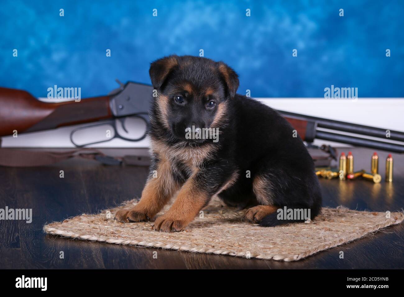 Black bullets hi-res stock photography and images - Alamy