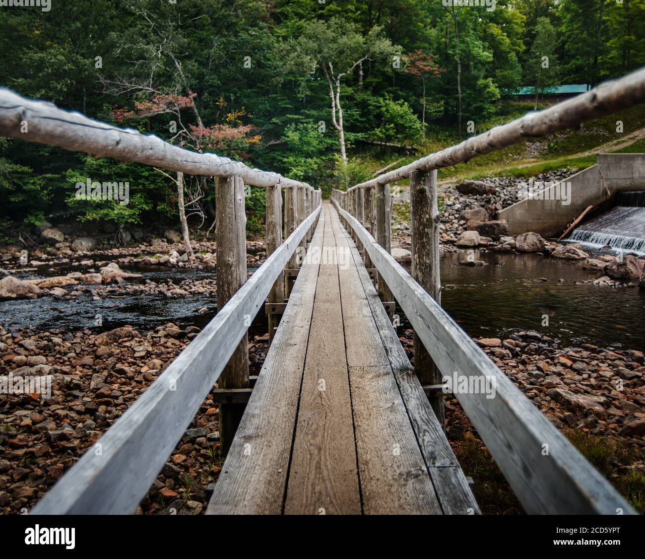 Wooden Bridge Around Forest The Cost Of Building A Pedestrian Bridge