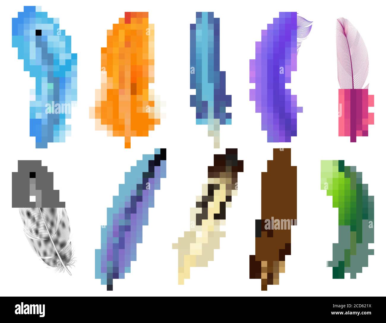 Realistic 3d feathers. Birds colored falling fluffy feathers, floating ...