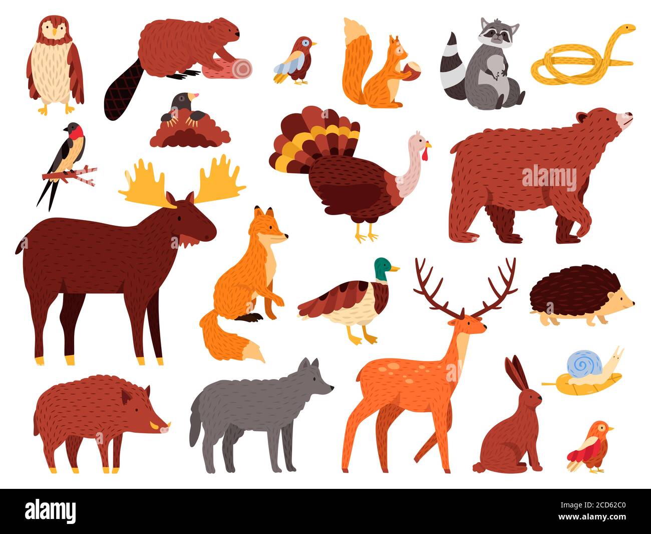 Cute animals. Cartoon forest animals, bear raccoon fox and cute owl ...