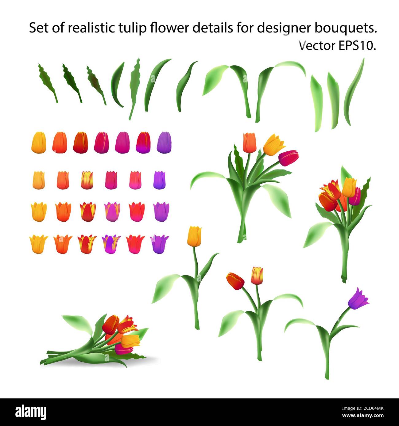 Set of realistic tulip flower details for arranging bouquets ...
