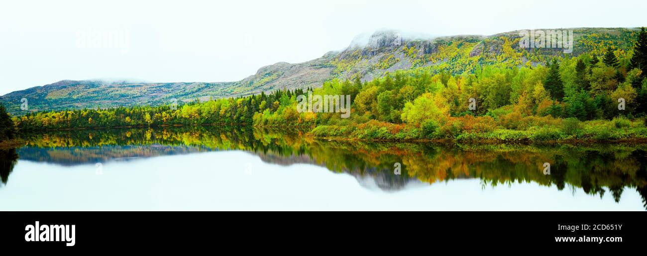 Landscape with lake, forest and mountains, Newfoundland, Canada Stock ...