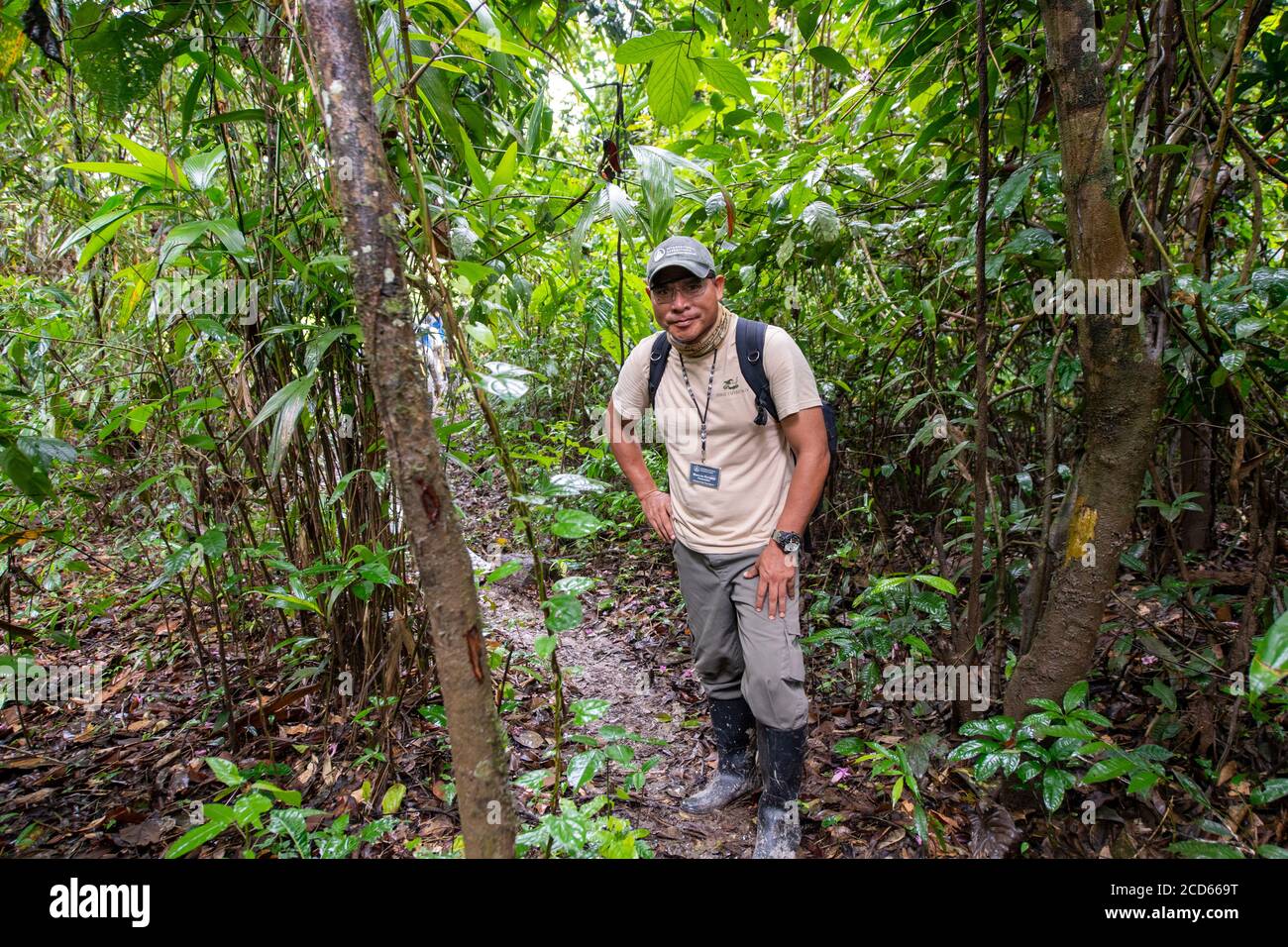 Peruvian Amazon Rainforest Stock Photo - Alamy
