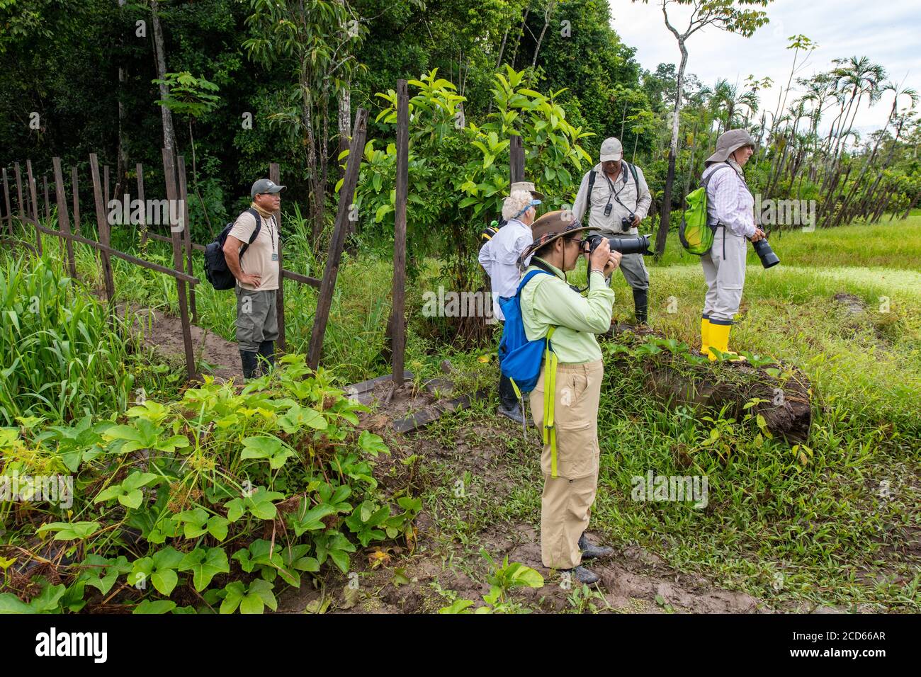 Rainforest treasures hi-res stock photography and images - Alamy