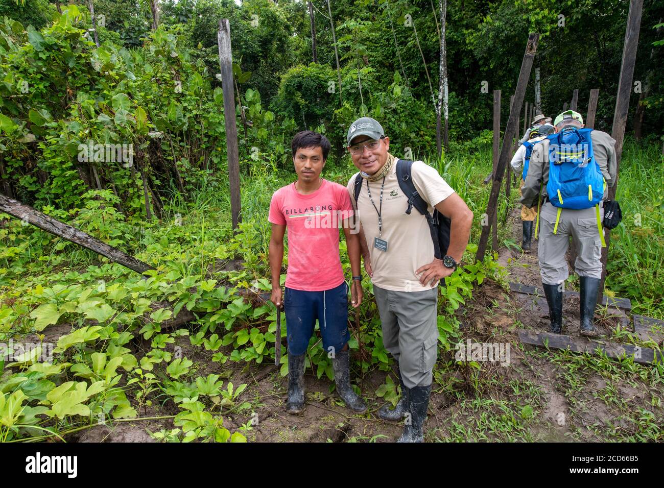 Rainforest treasures hi-res stock photography and images - Alamy