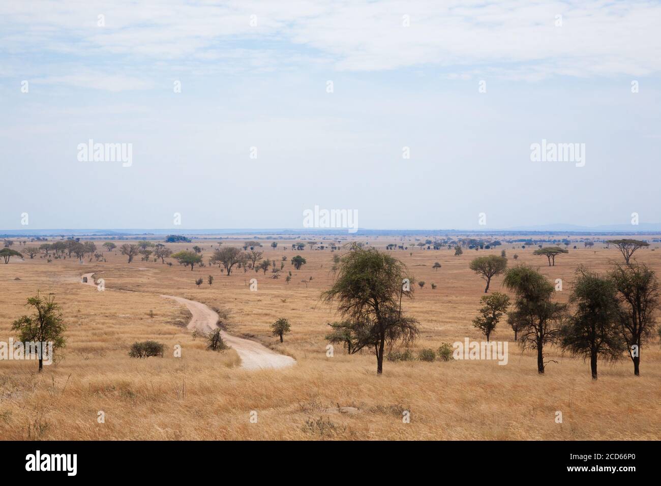 Serengeti National Park landscape, Tanzania, Africa. African panorama ...