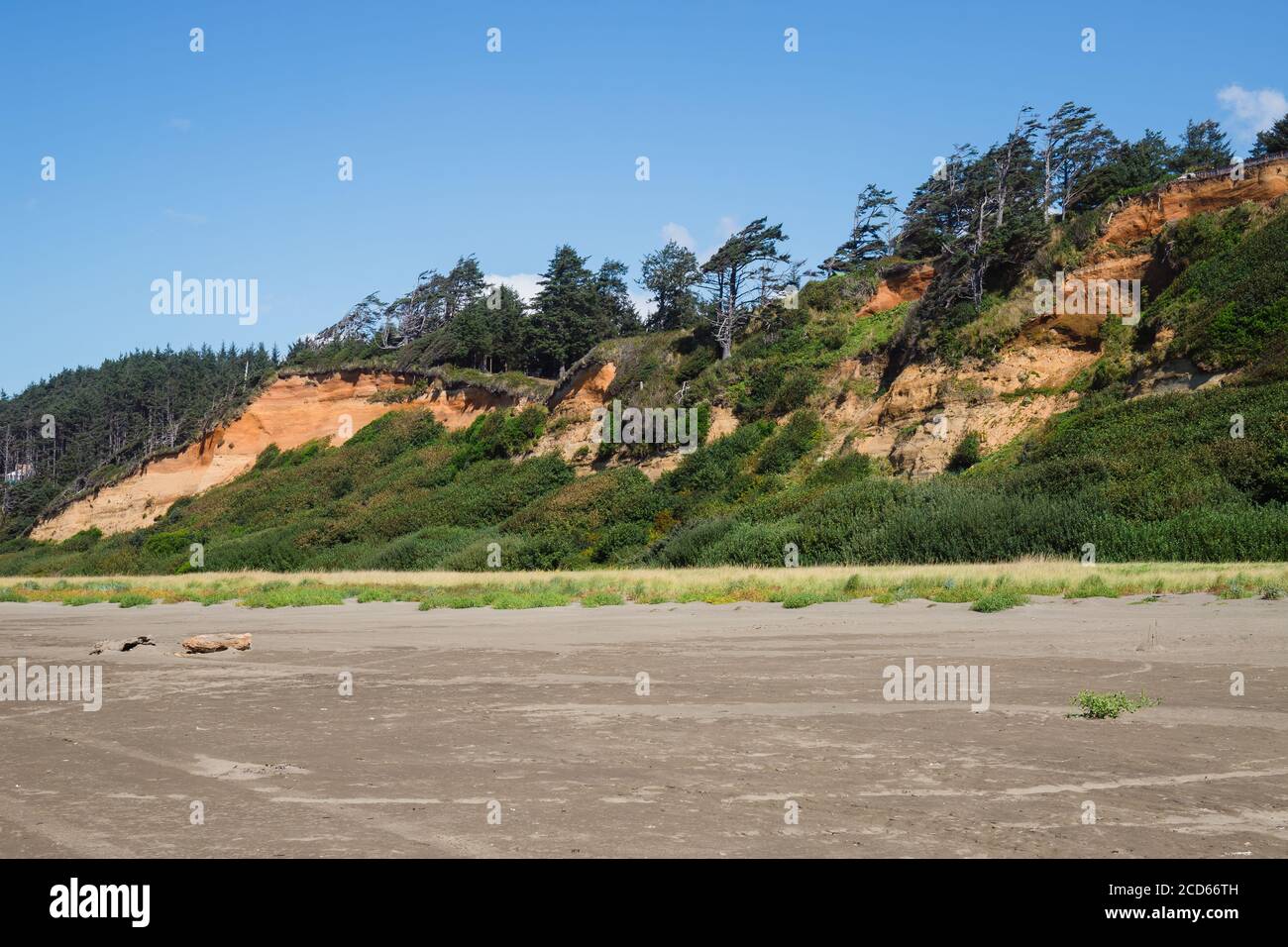 Tree covered coastline hi-res stock photography and images - Alamy