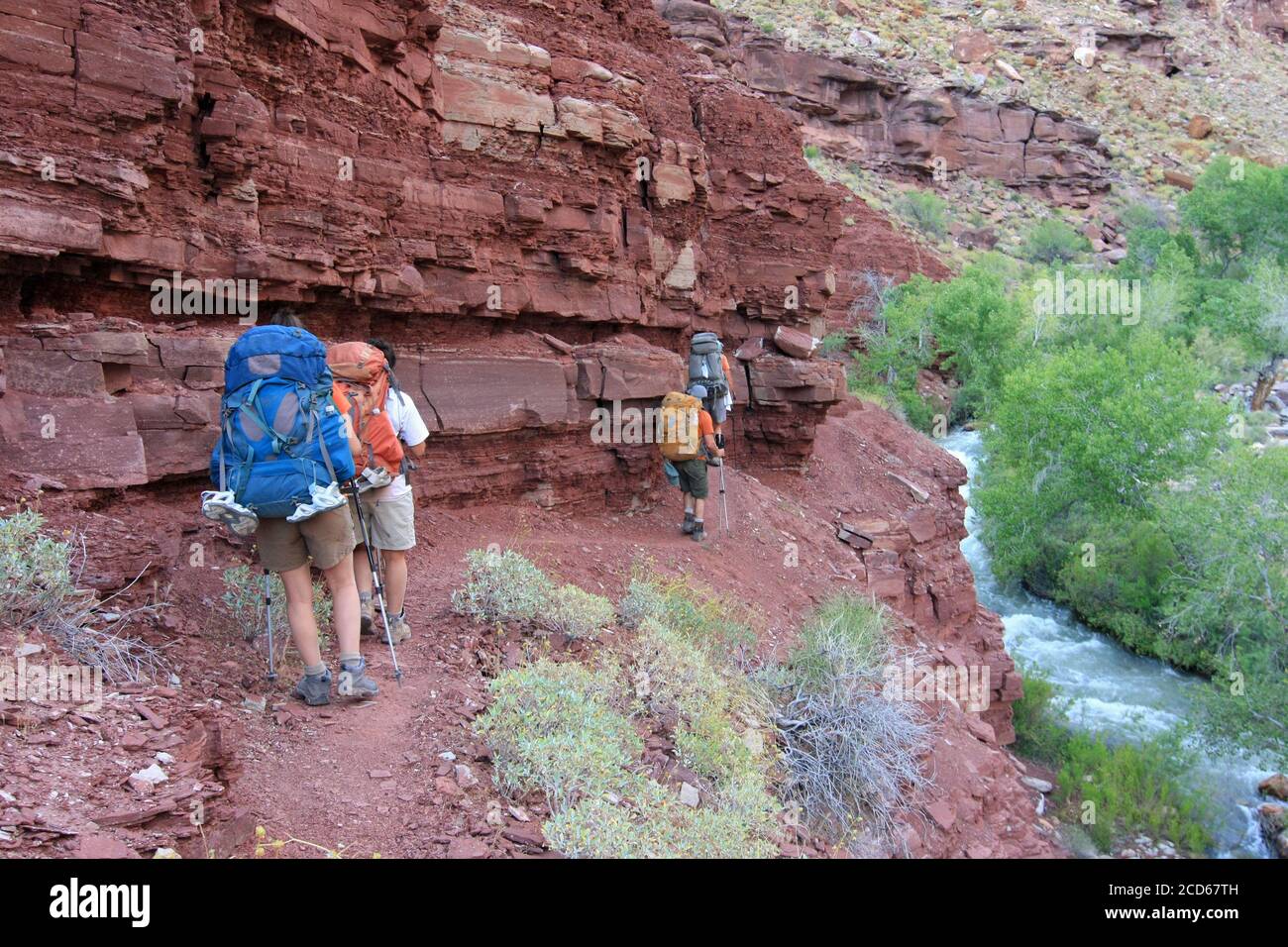 Grand Canyon National Park, Arizona - May 19, 2010 - Backpackers hike ...