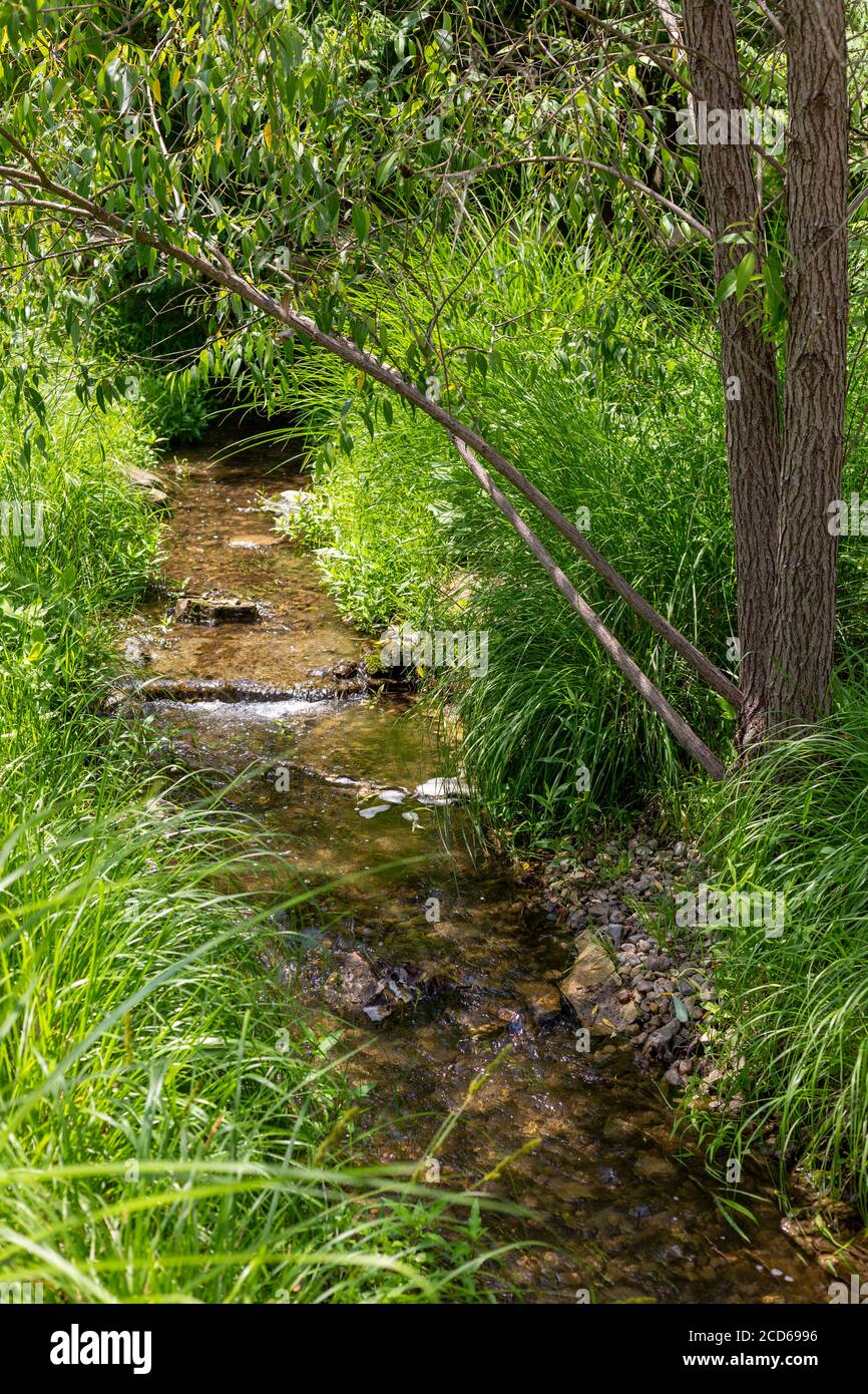 Rill stream hi-res stock photography and images - Alamy