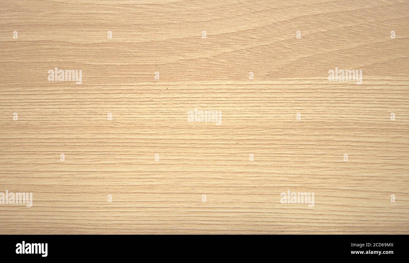 Natural light birch close-up, rich line drawing on the cut. Background ...