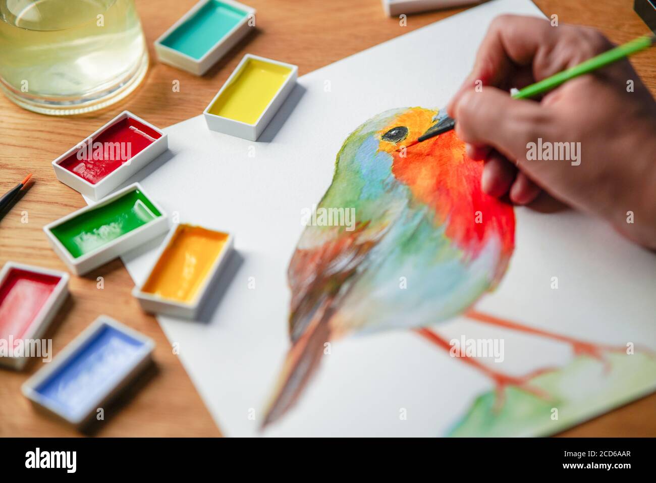 concept of water color drawing with bright colors Stock Photo - Alamy