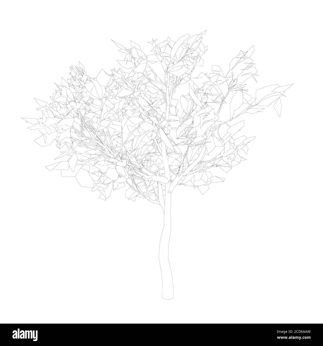 The contour of a tree from black lines on a white background. Isolated ...