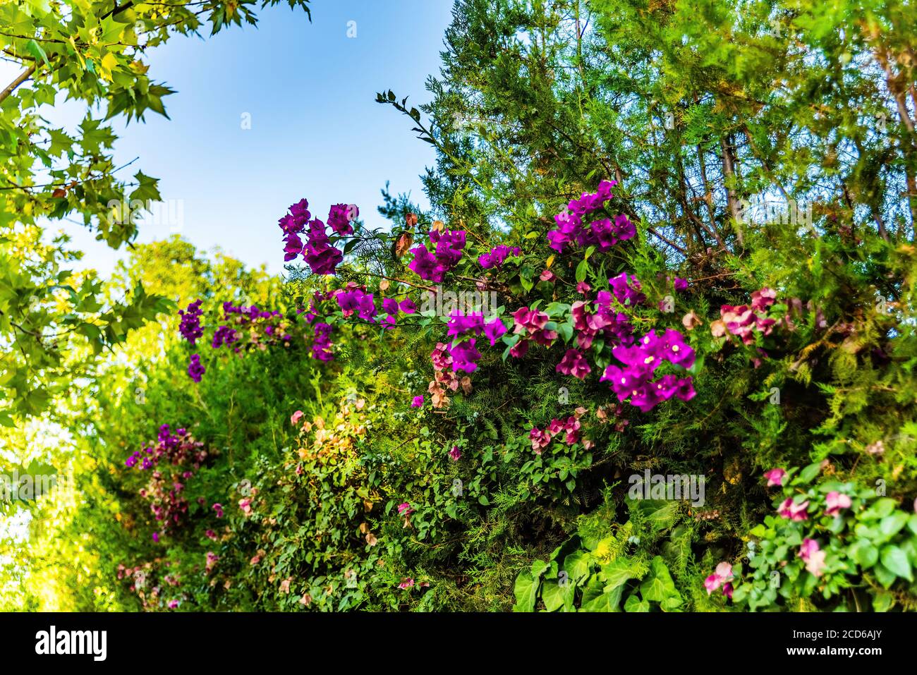 Quality street close up hi-res stock photography and images - Alamy