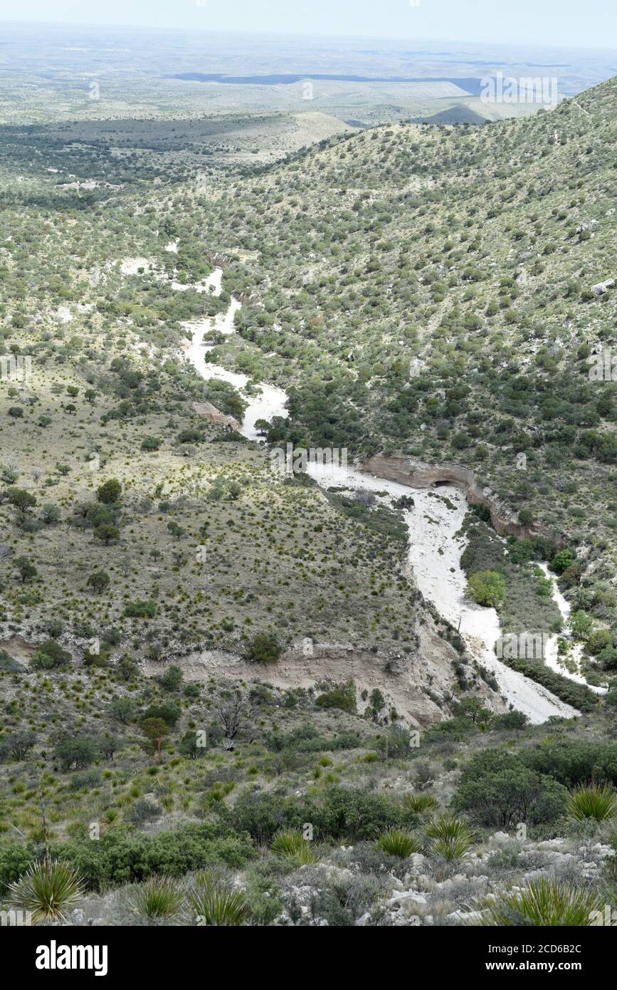The Scene was taken on the Tejas Trail, Guadalupe National Park, Texas ...