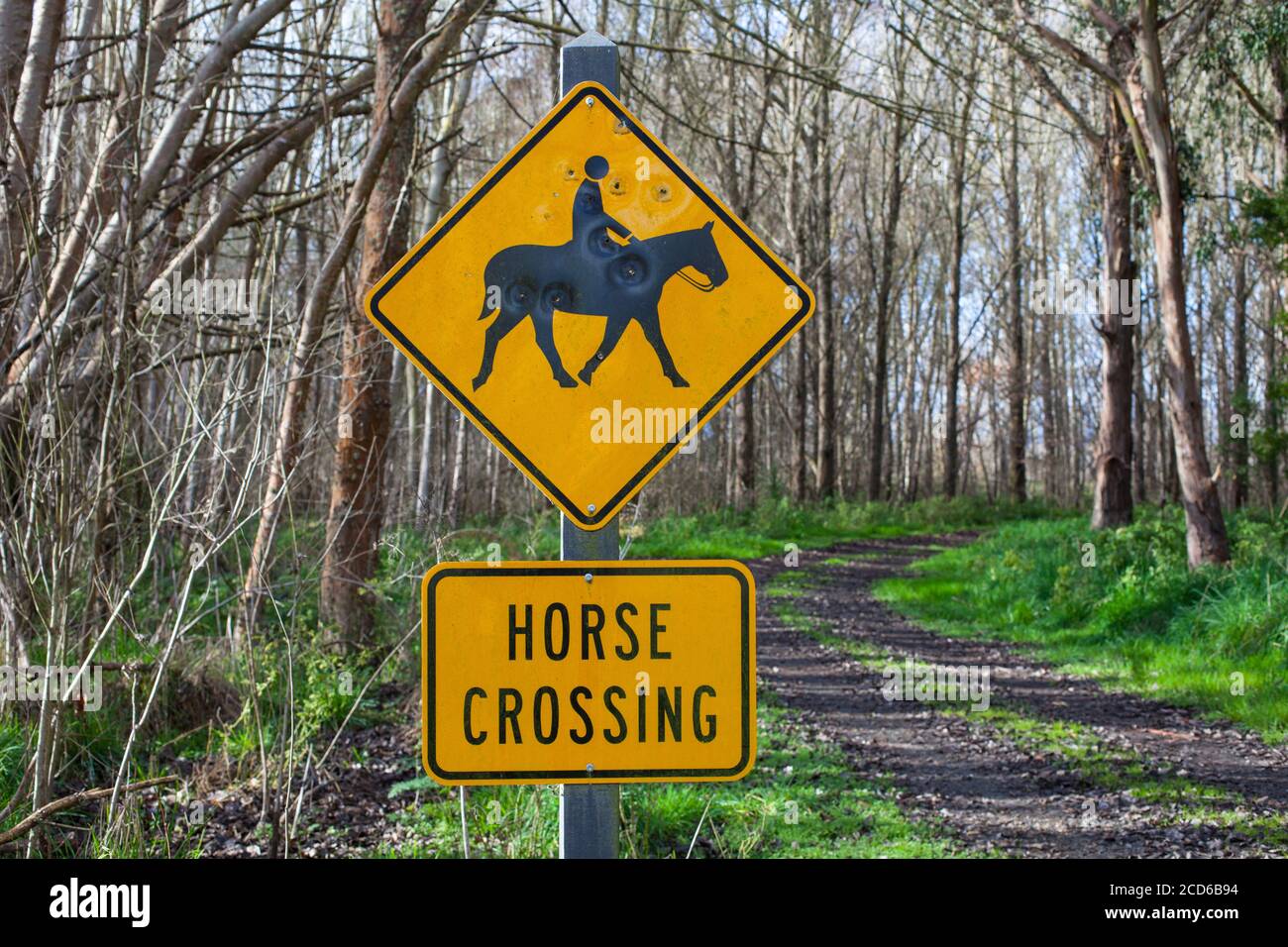 New Zealand Countryside Scenes: iconic road-signs and warnings Stock ...