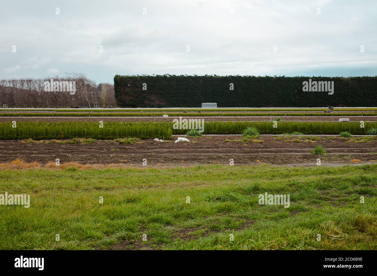 New Zealand Countryside: iconic kiwi sights Stock Photo - Alamy