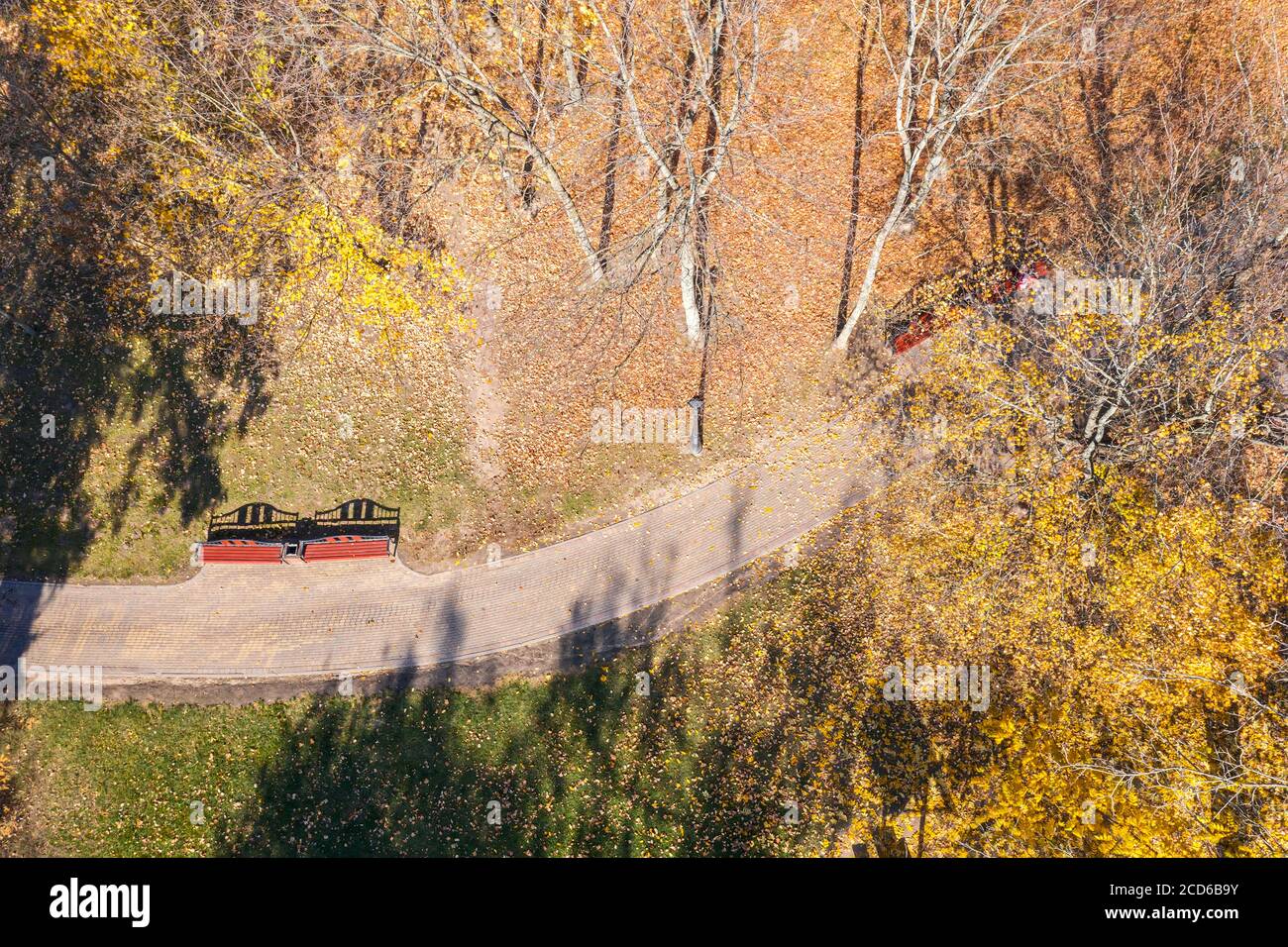 sunny day in autumn park. colorful trees and fallen leaves on ground. aerial photo from the ...