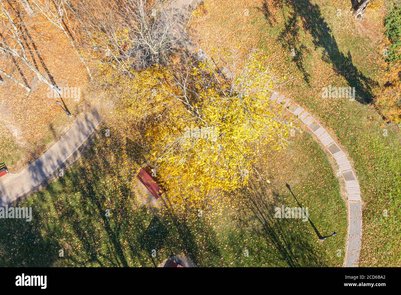 Footpaths in park october hi-res stock photography and images - Alamy