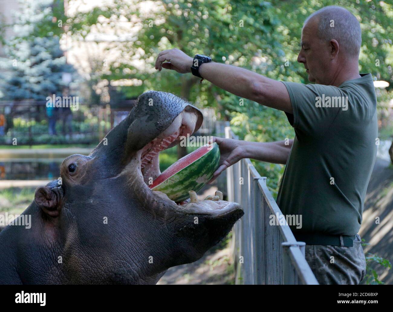Zoo worker hi-res stock photography and images - Alamy