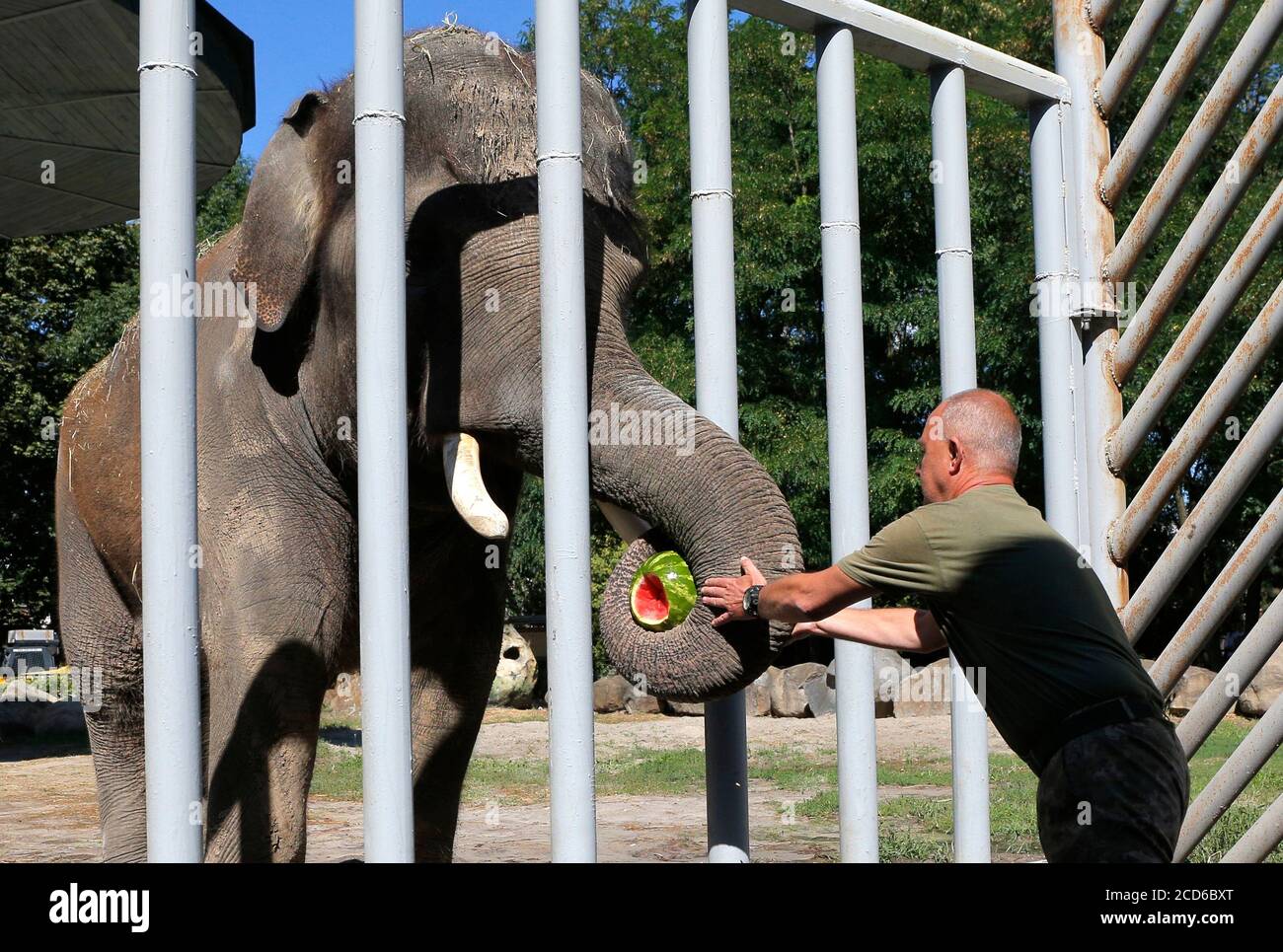 Zoo worker hi-res stock photography and images - Alamy