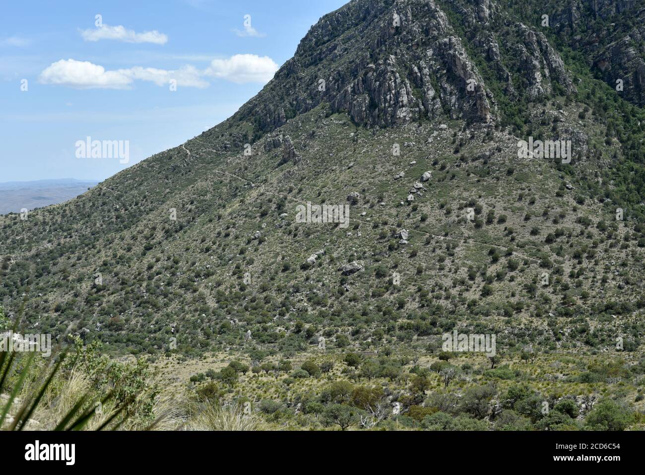 The first rise of Guadalupe Peak Trail. The base cliff of the Guadalupe ...