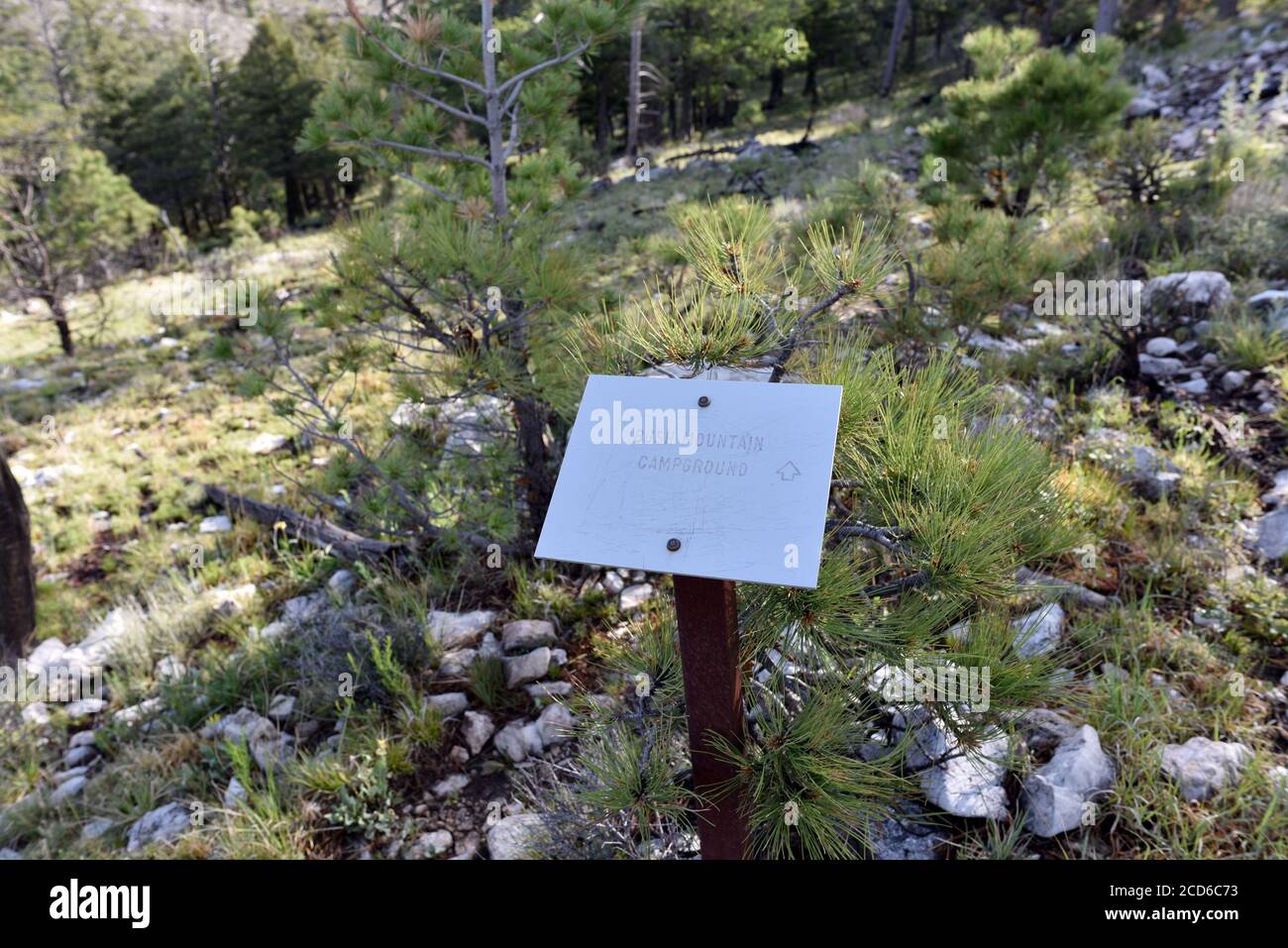 Bush Mountain campground signage. The Scene was taken on the Bush ...