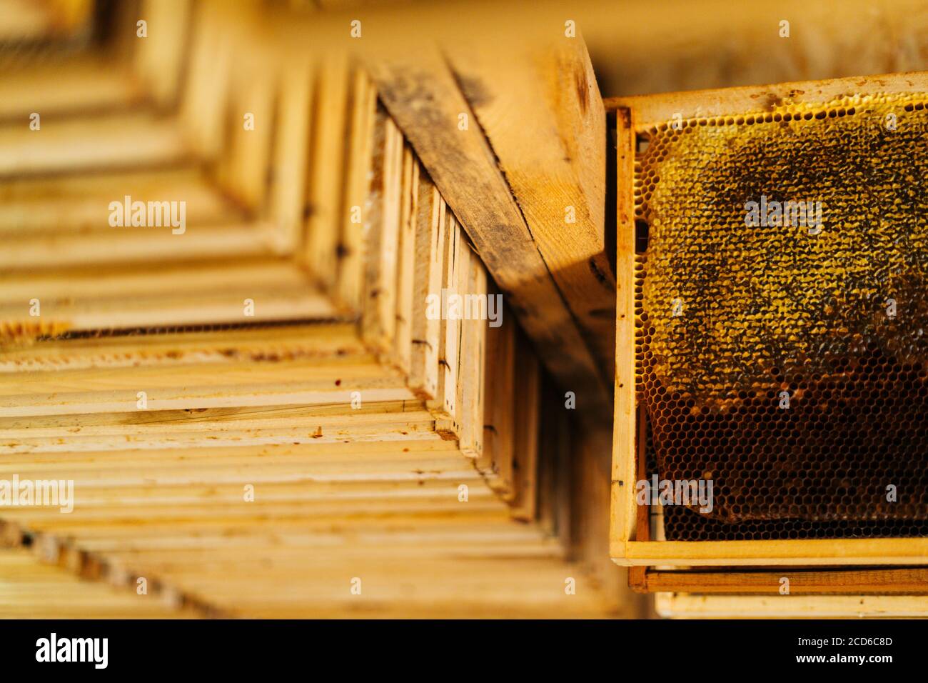 Close-up of wooden bee frames hanging on a shelf in honeybee house ...