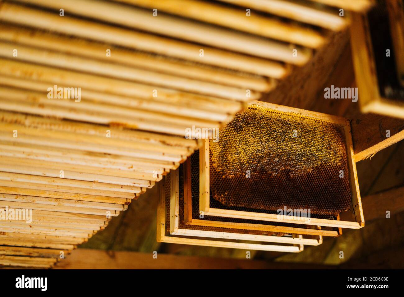 Close-up of wooden bee frames hanging on a shelf in honeybee house ...